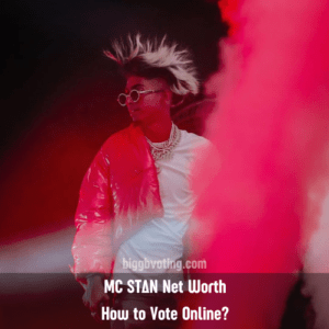 MC Stan Net Worth, Height, Weight, Bio, Real name, BB16 Vote